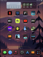 How to Customize Your iPad Screen and Add Widgets too!