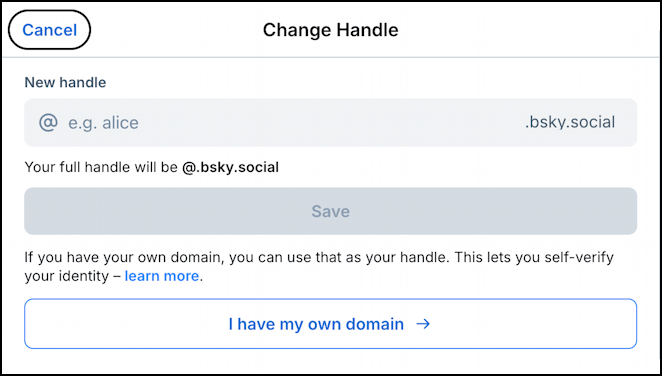 How to Change Your Bluesky Handle to Your Domain Name