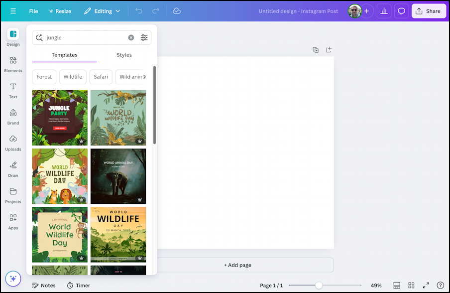Change Photo Background to Make It More Fun with Canva