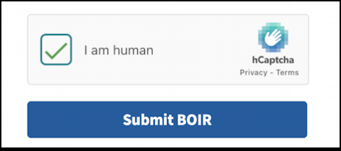 How to File a Beneficial Ownership Information (BOI) Report