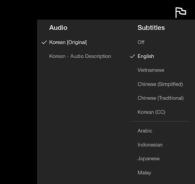 How to View Dialog-Only Subtitles on Netflix